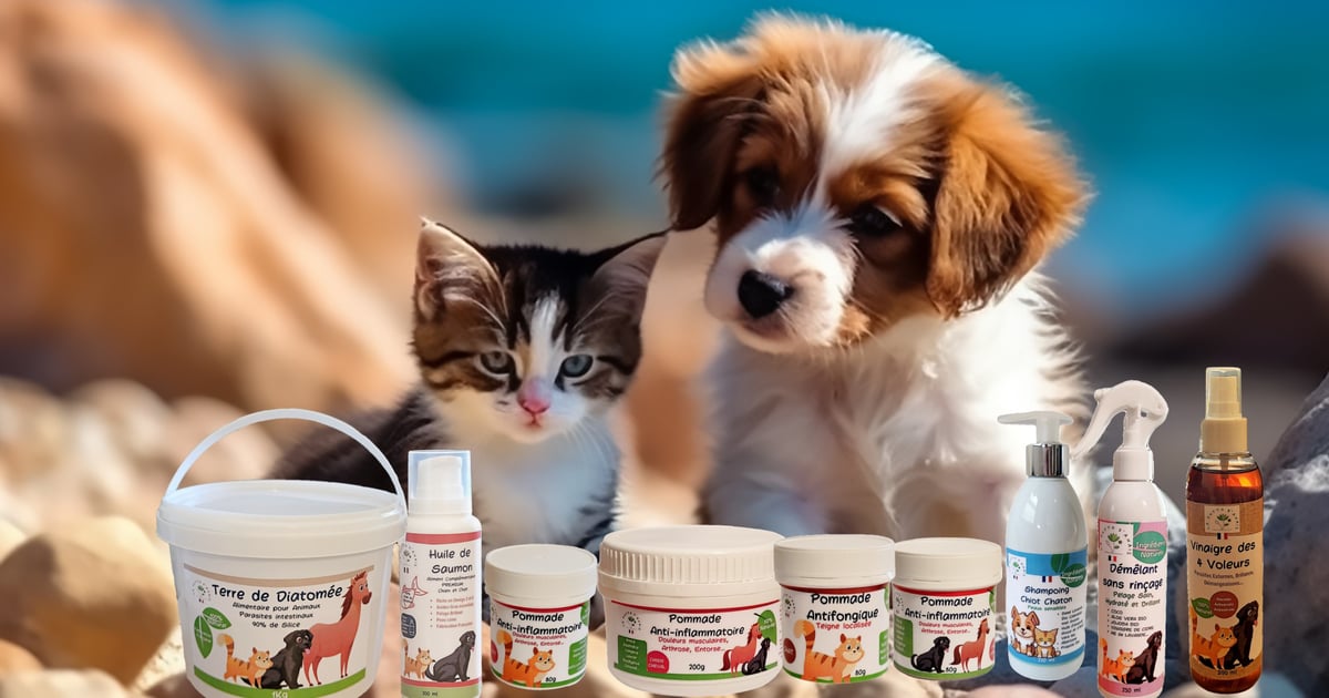 Produits de phytothérapie et aromathérapie - La Phyto d'Anaïs | LA ...