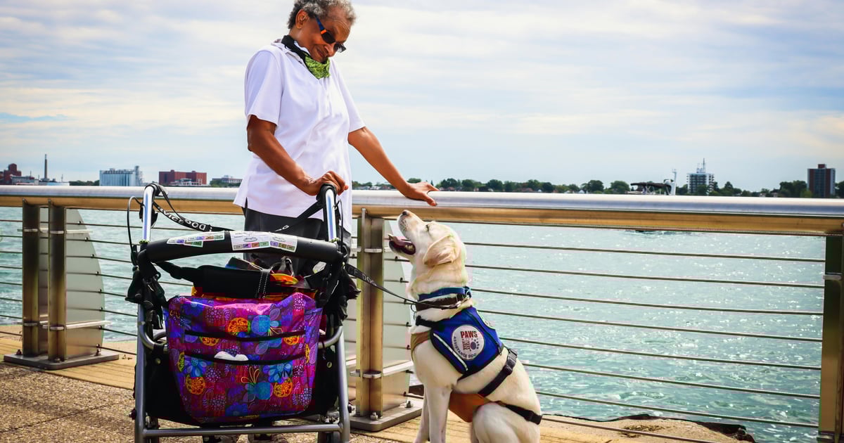 Handling Public Interactions with Your Service Dog | Service Dog Savvy