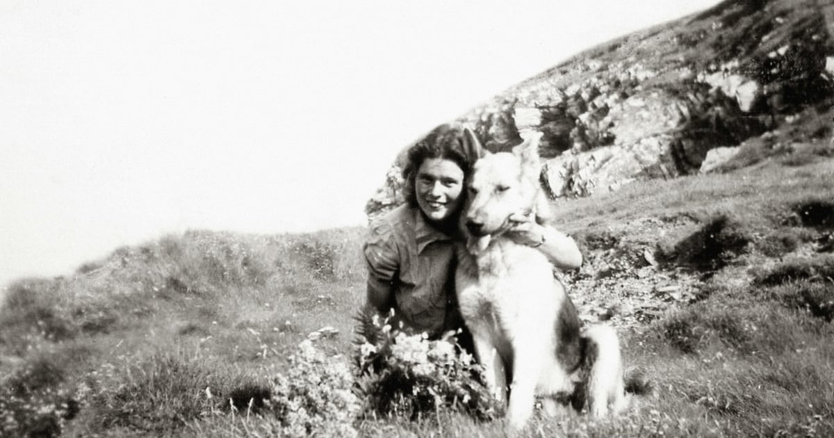 The History of Service Dogs: From Guide Dogs to Modern Day | Service ...