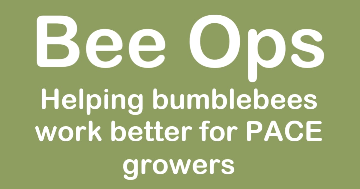 Oxford Bee Ops: Optimising Bumblebee Pollination Services | Oxford Bee Ops