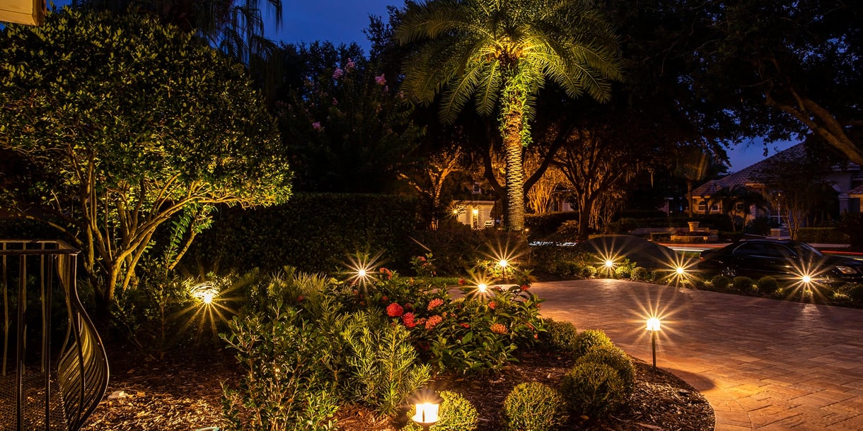 Premier Landscaping and Palm Service in Florida | Coastal Creations ...