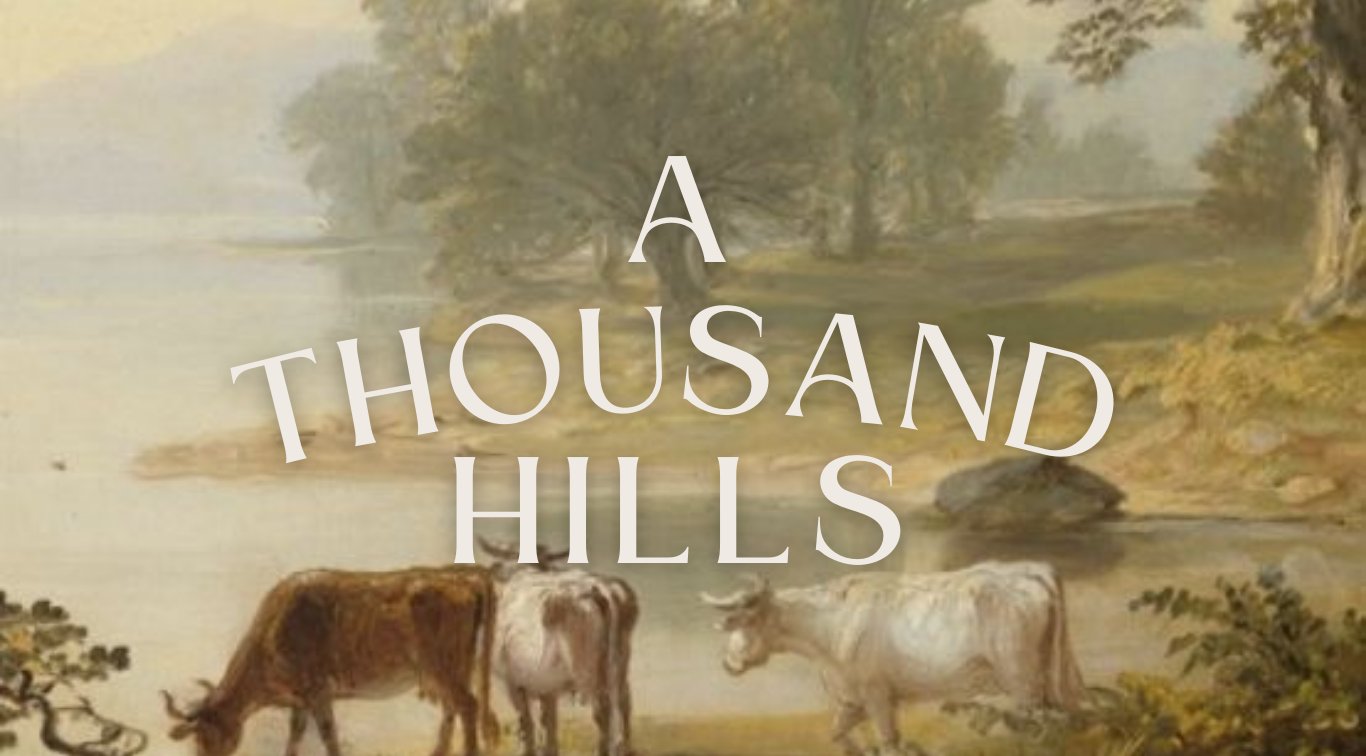 1st - 8th Grade Tutorial