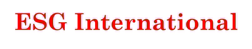 ESG International: ESG Reporting Services for Sustainable Businesses ...