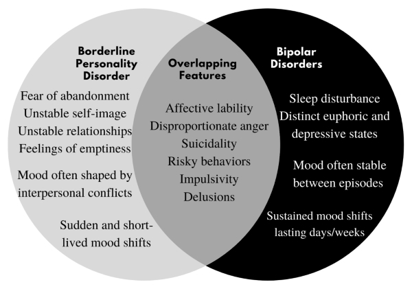 The Four BPD Subtypes | BPD Information