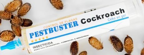 Pestbuster: Cebo en Gel Contra Cucarachas Efectivo | Pestbuster