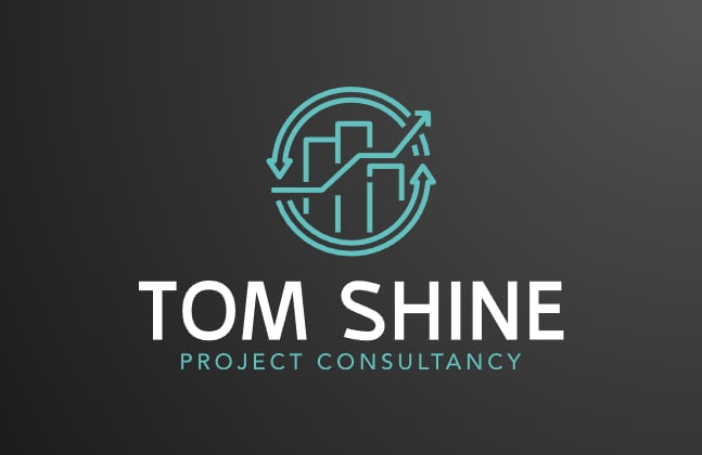 Program and Project Management Examples in the IT Industry | Tom Shine
