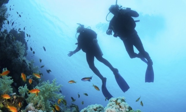 Best Diving Locations to Explore in the Philippines | DDC