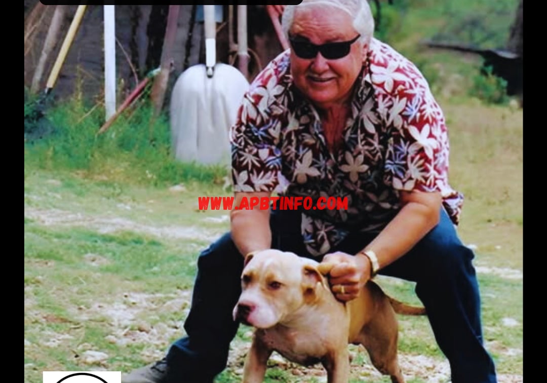 Bobby Hall Pit Bull Breeder and Game Dog Conditioner | APBT INFO