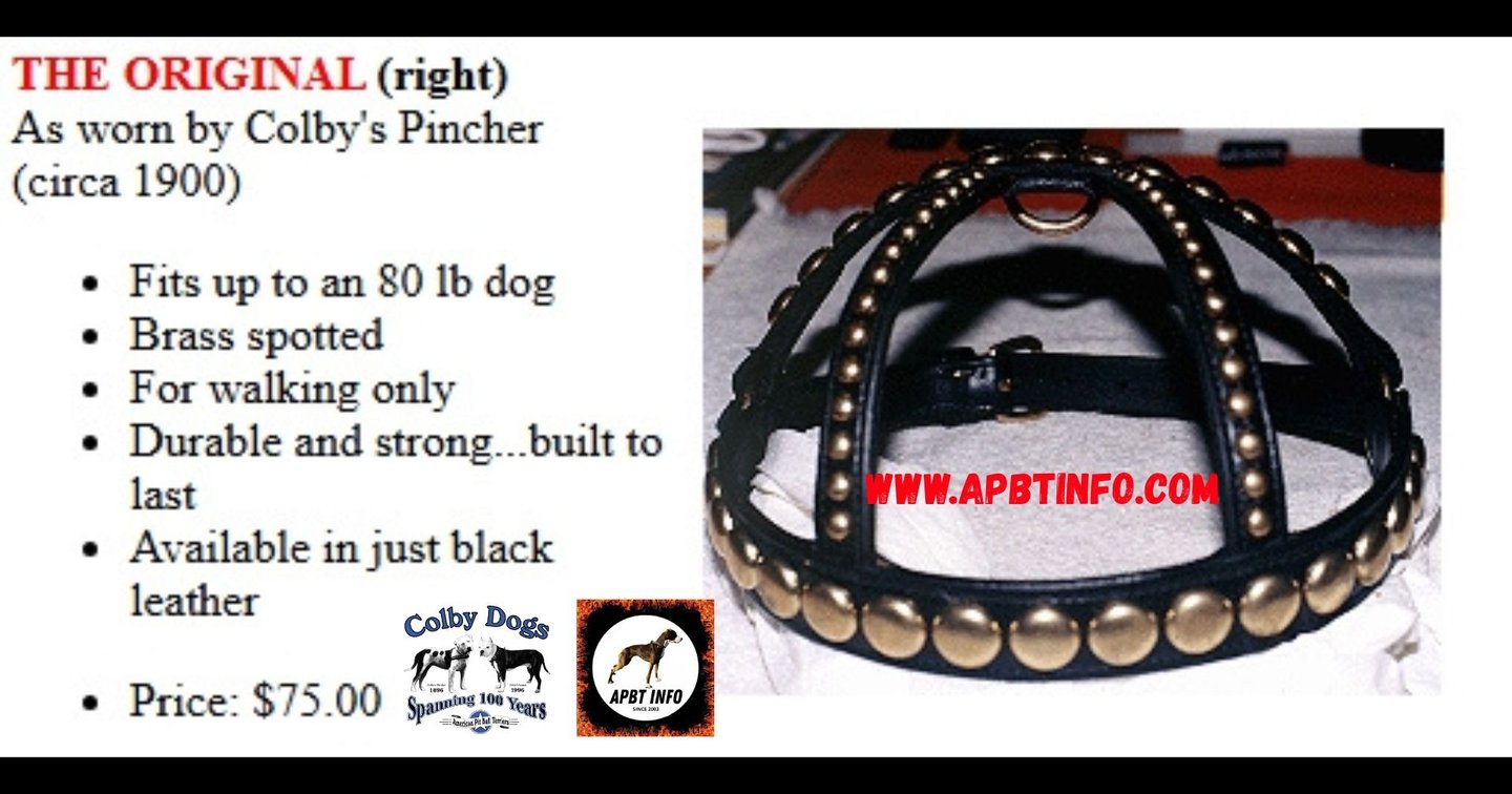 Colby PitBull Dog Harnesses and Collar | APBT INFO