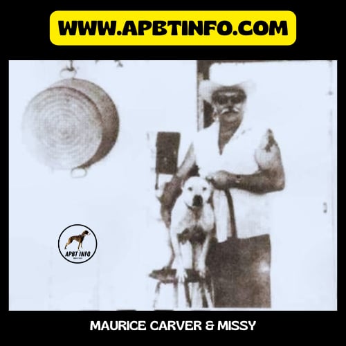 The 1973 Southwest Pit Bull Game Dog Convention: A Turning Point in ...