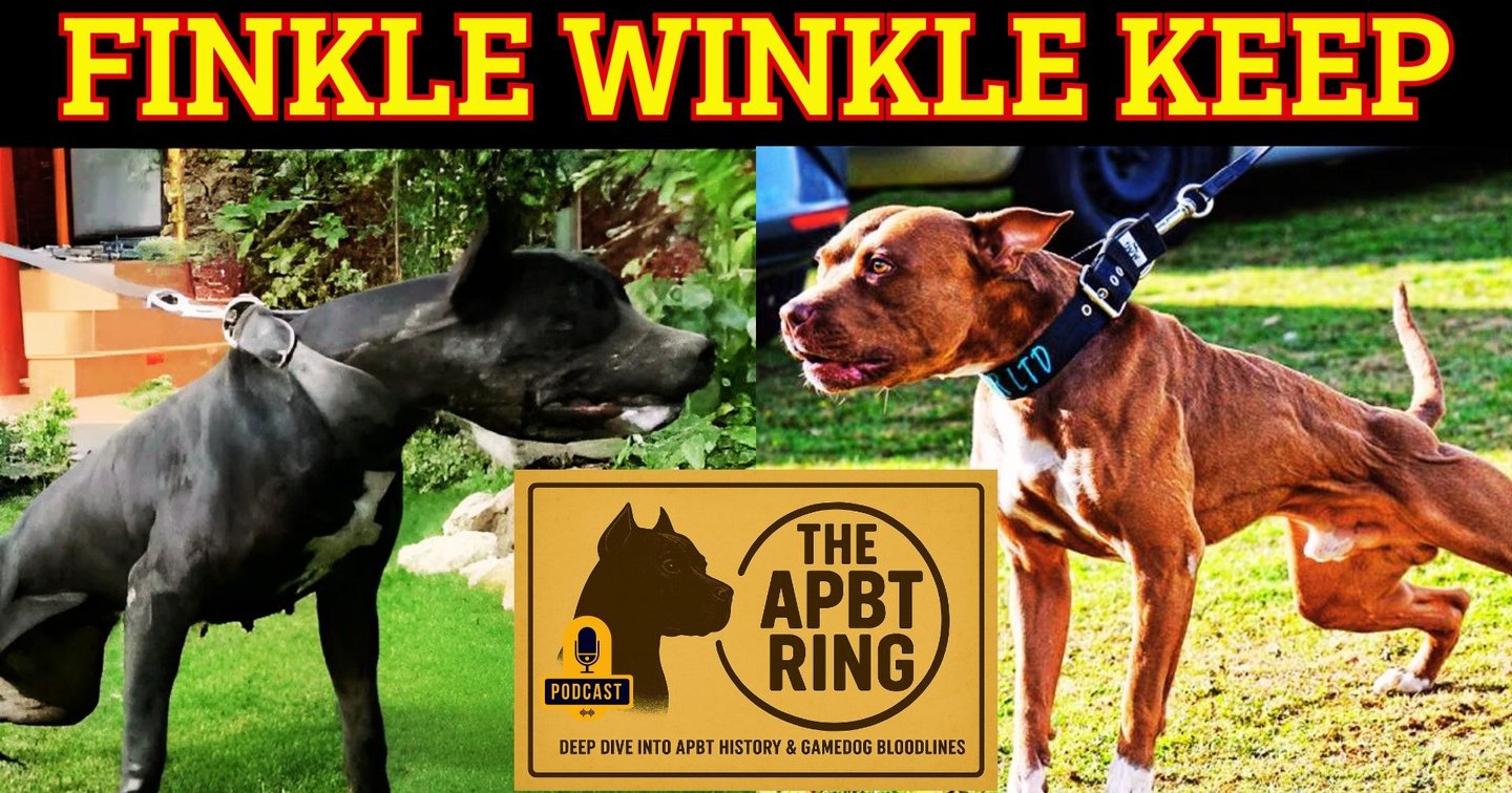 APBT KEEP | Unlocking True Game Dog Conditioning & Pit Bull Gameness ...
