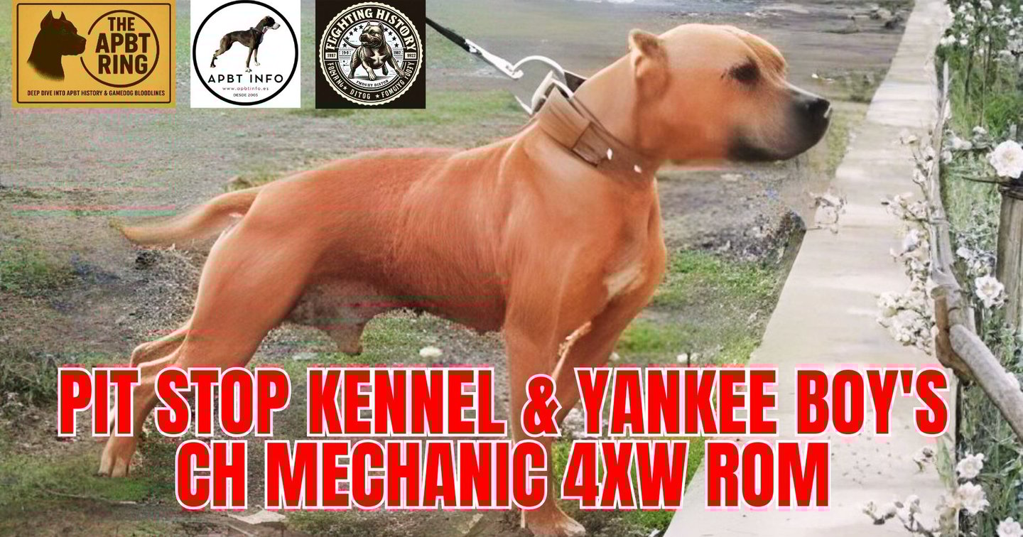 Pit Stop Kennel CH Mechanic 4xw ROM | APBT INFO