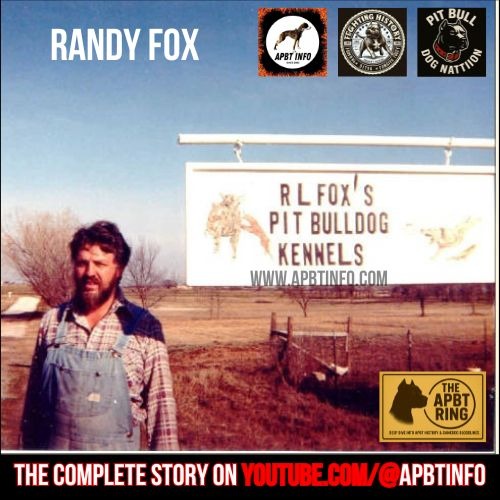 RANDY FOX | a pit bull game dog life remembered | APBT INFO