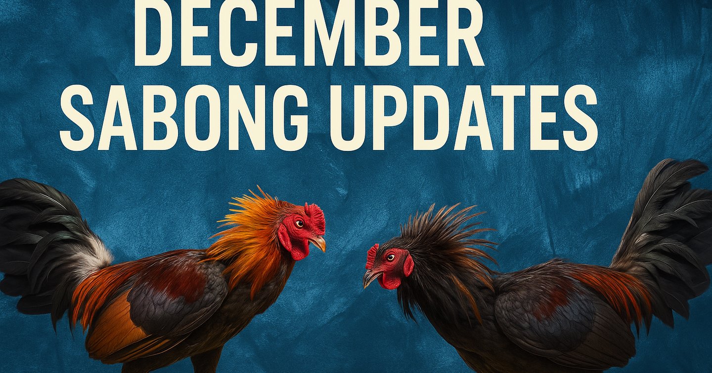 December 1 Sabong Reloaded: Fresh Arena Highlights & Updates at WORLD ...