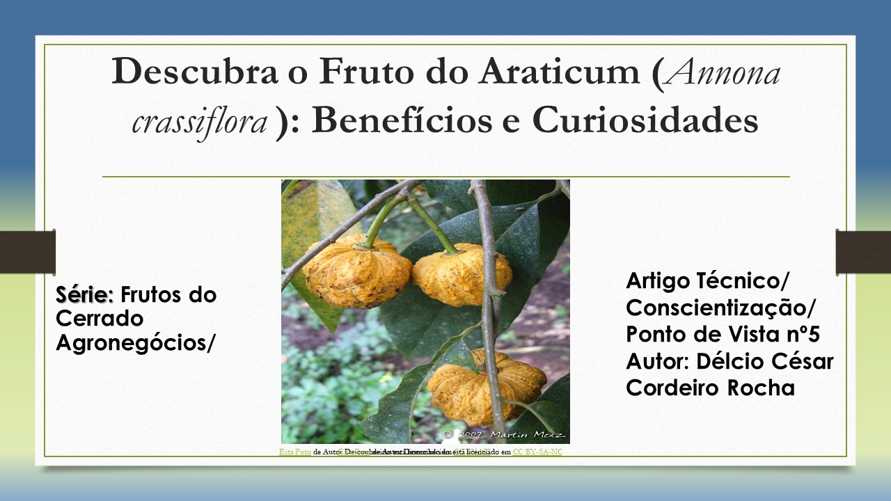 Descubra o Fruto do Araticum (Annona crassiflora ): Benefícios e ...