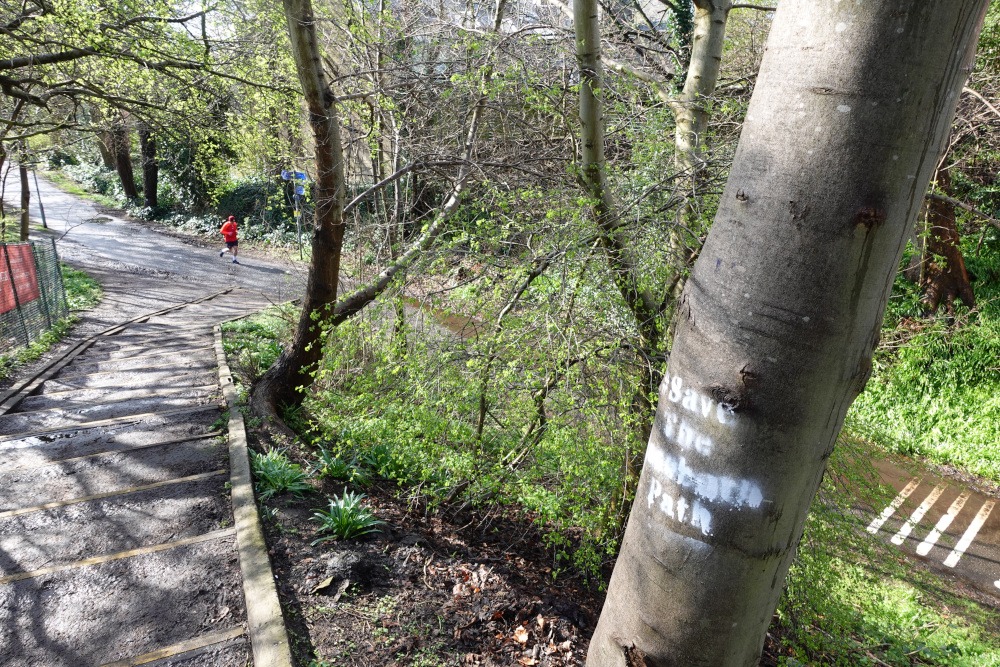 Trams on Roseburn Path | Murrayfield Community Council