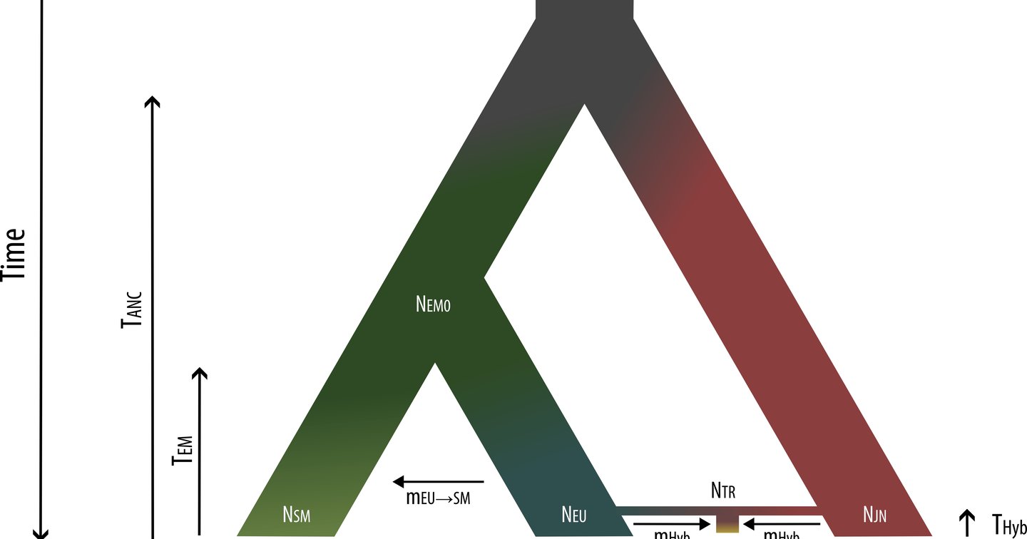 An extensive Tutorial on Demographic Modeling with fastsimcoal2 ...