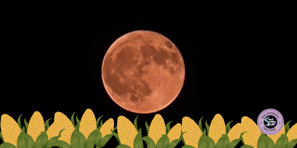 Corn Moon Ritual Guide | Soul Sisters Tarot