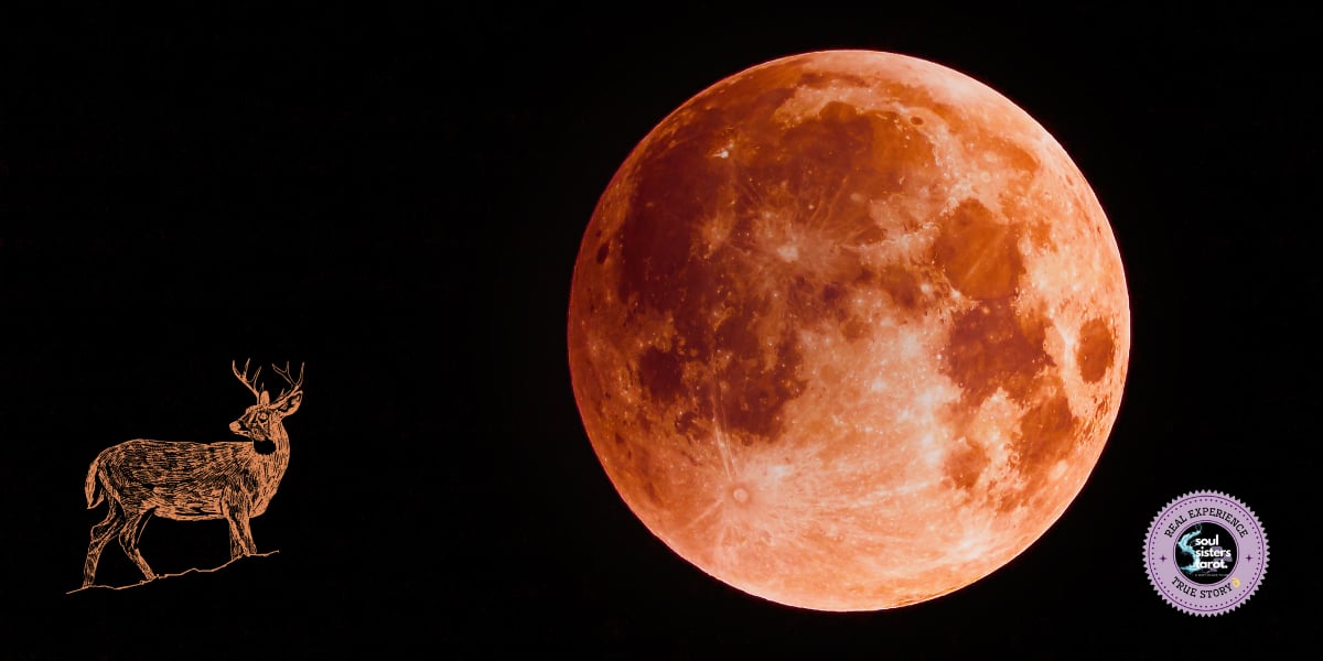 Buck Moon Ritual: Harness the Full Moon’s Power for Gratitude, Strength ...