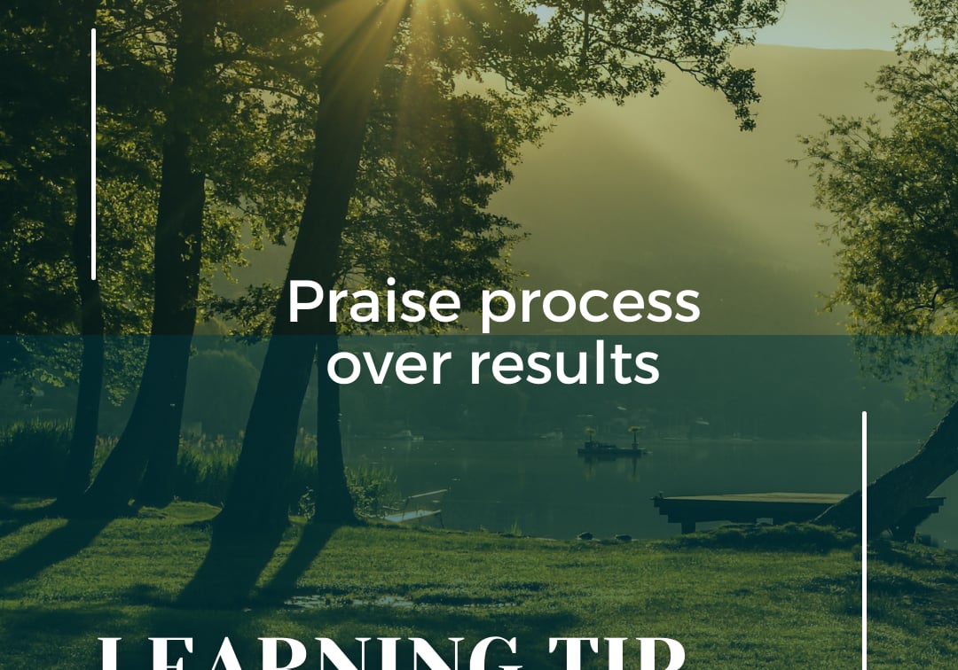 Praise Process Over Results | Thrive Tutoring and Learning Coaching