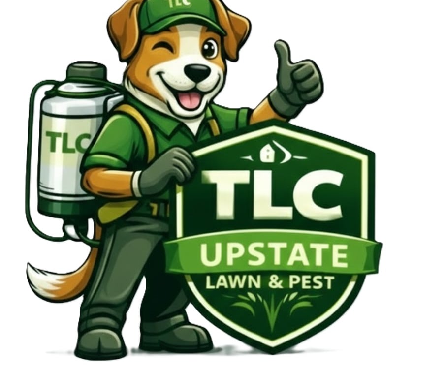 Fire Ant Treatment | TLC Upstate Lawn and Pets