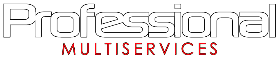 THE PROFESSIONAL MULTISERVICES | THE PROFESSIONAL MULTISERVICES