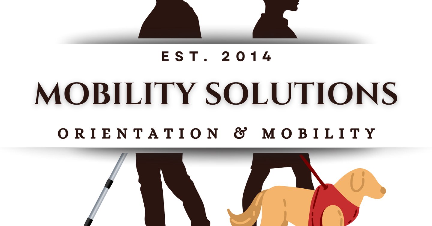 Orientation and Mobility (O&M) Service Provider for the Blind and ...