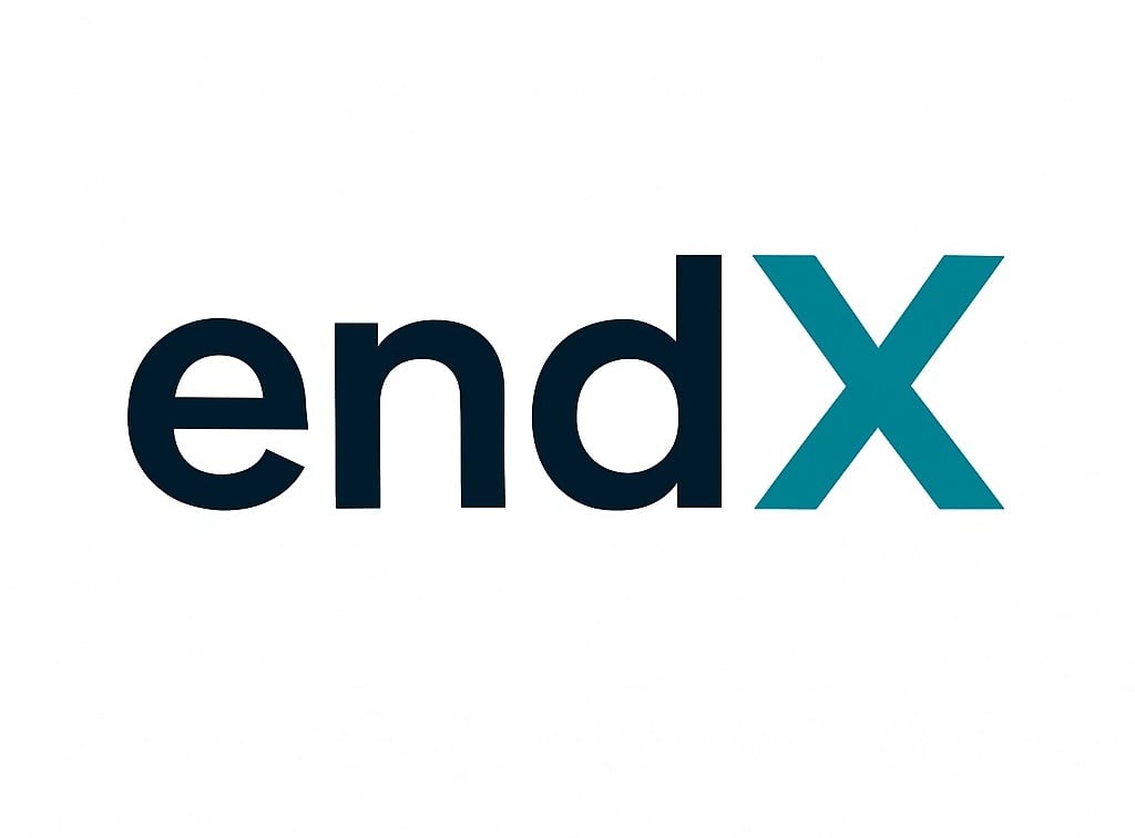 Expert Engineering Services | endX
