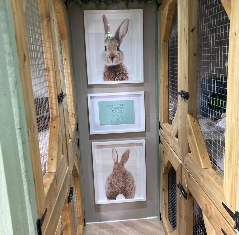 RABBIT ENCLOSURE CLEANING | Ballinderry Boarding Small Animal Retreat
