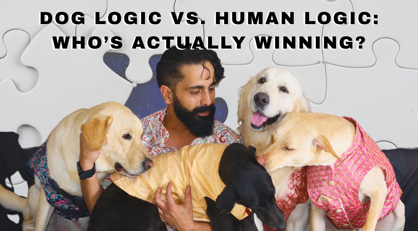 Dog Logic vs. Human Logic: Who’s Actually Winning? | Cosmic Pet Care