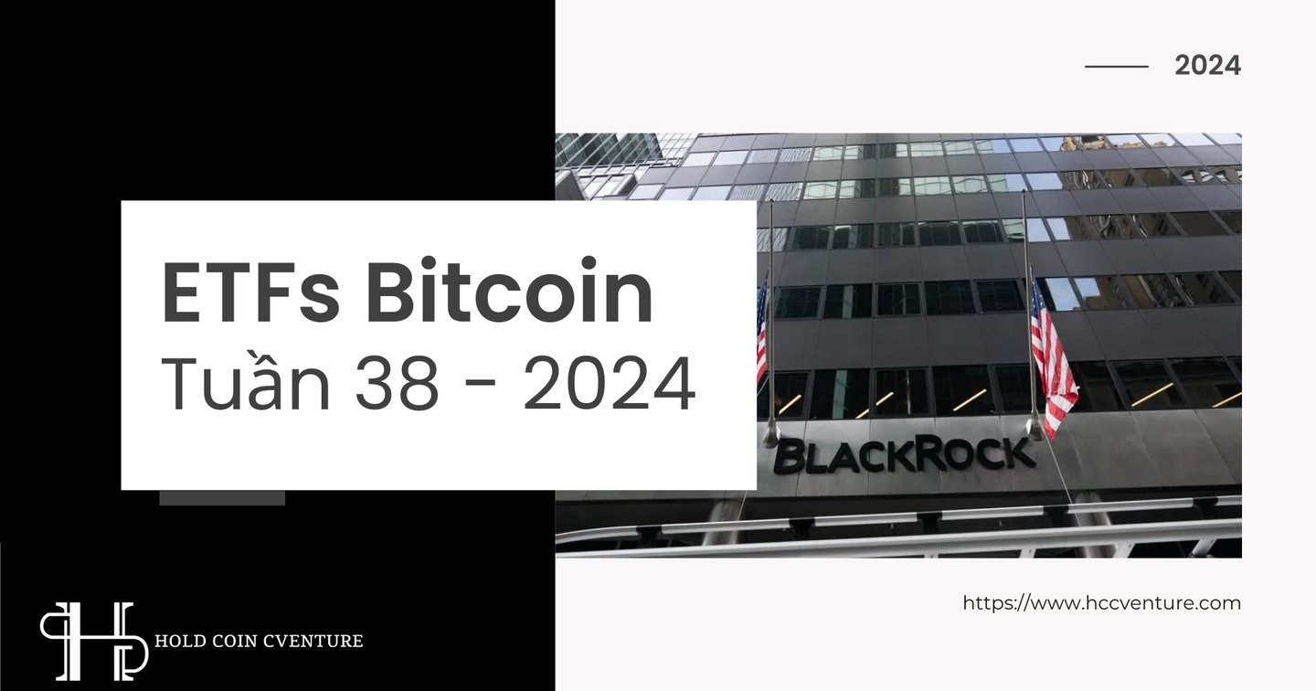 Phân tích Bitcoin ETFs tuần 38 năm 2024 | HOLD Coin CVenture