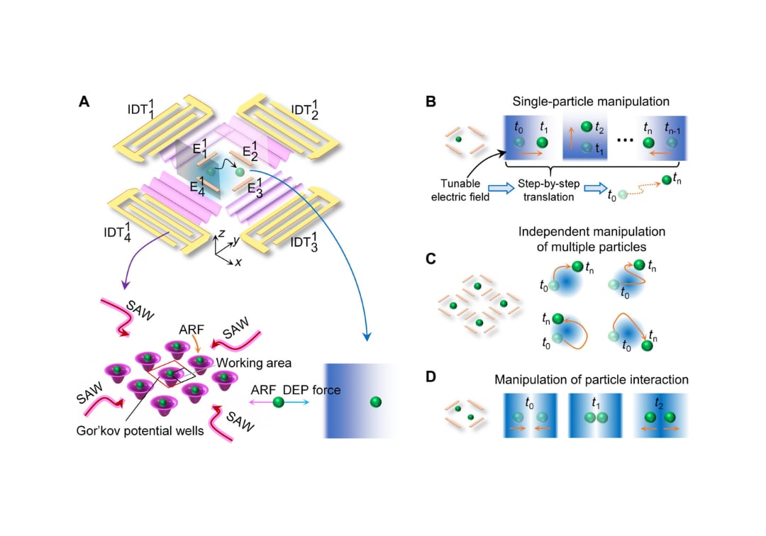Researchers Develop Technology Enabling Cell Manipulation Without ...