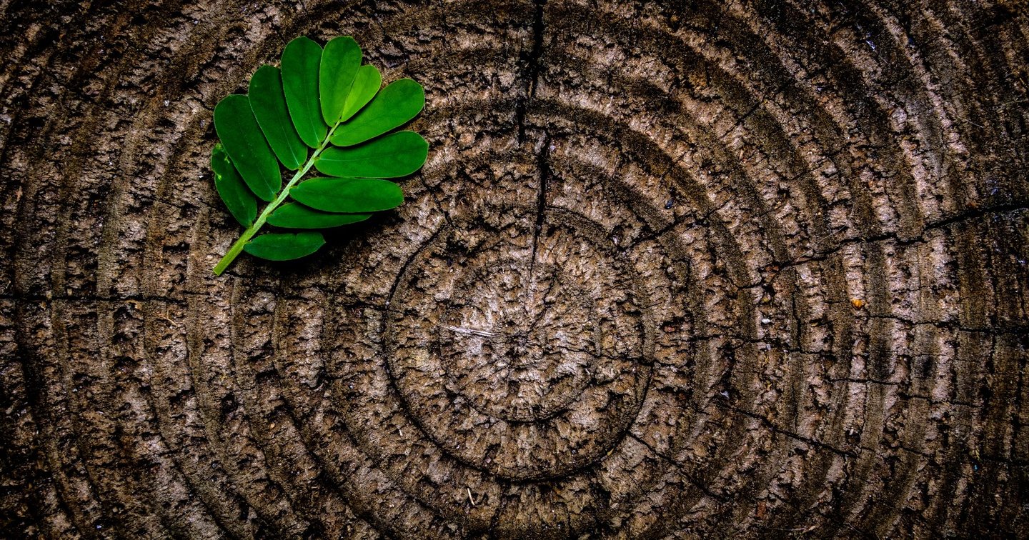 Geometry Simplified: Tips to Master Angles and Shapes | mathbysm