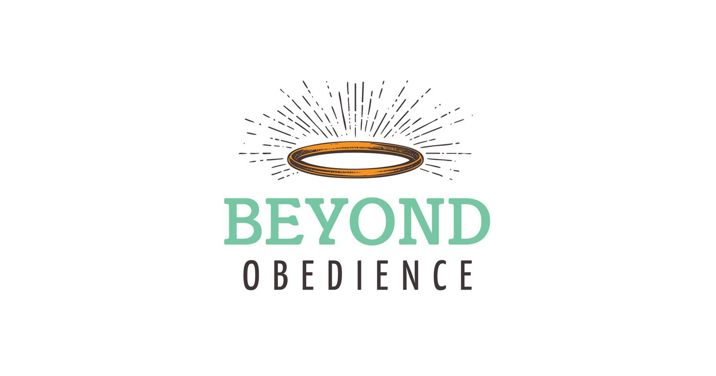 Expert Dog Training for Obedience and Behavior Modification | Beyond ...