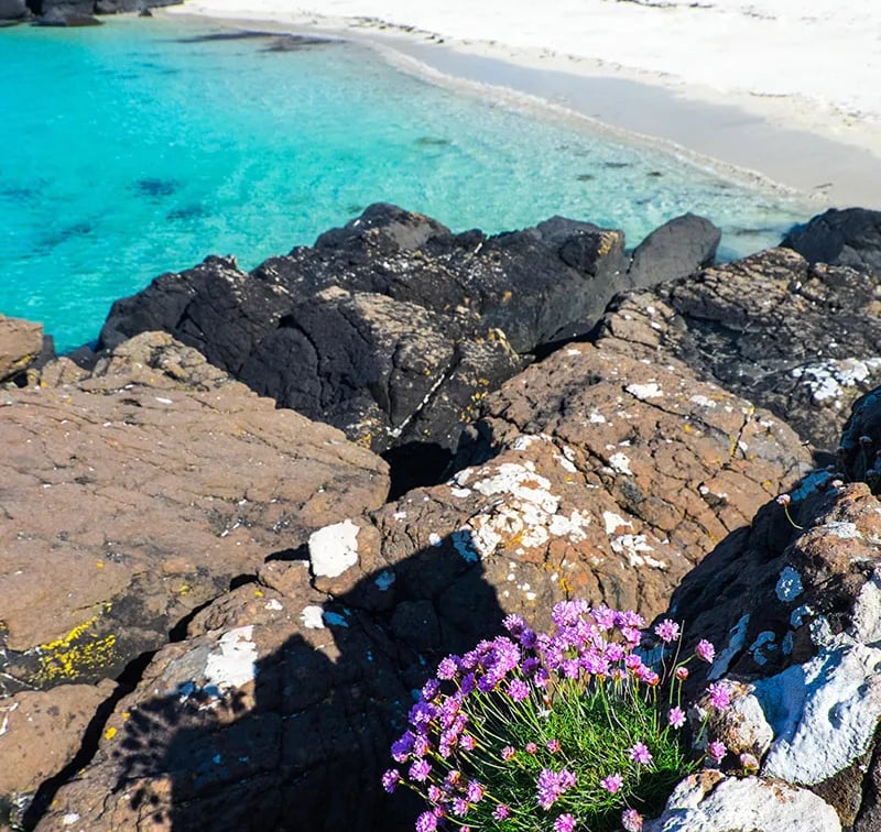 Scottish Beaches: sandy beaches in Scotland | TODO in SCOTLAND