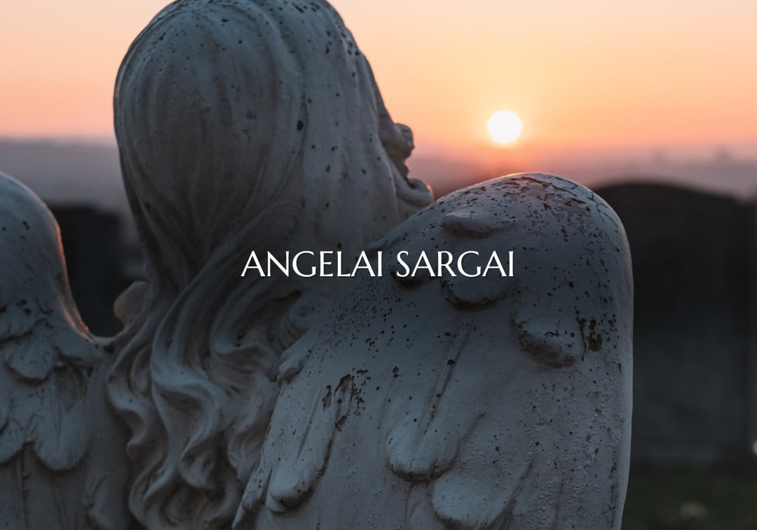 ANGELAI SARGAI | MAGIŠKAS GYVENIMAS - STUDIJA