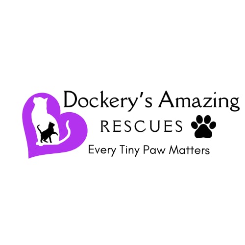 Dockery's Amazing Rescues - Cat and Kitten Adoption Website | Dockery's ...