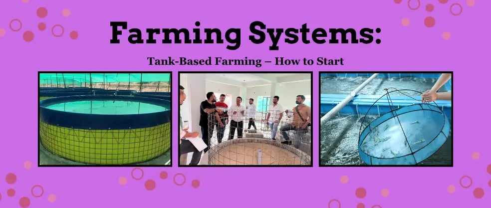 Farming Systems: Tank-Based Farming – How to Start | Fish Vigyan