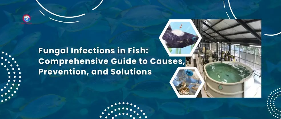 Fungal Infections in Fish: Comprehensive Guide to Causes, Prevention ...