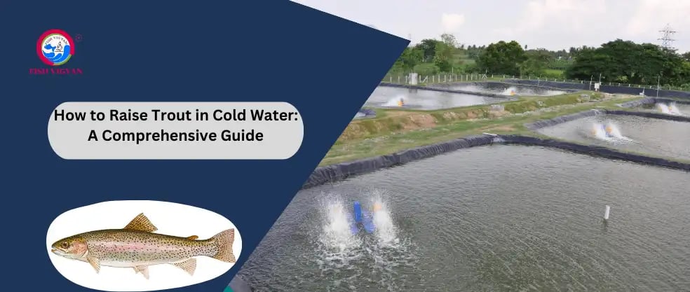How to Raise Trout in Cold Water: A Comprehensive Guide | Fish Vigyan