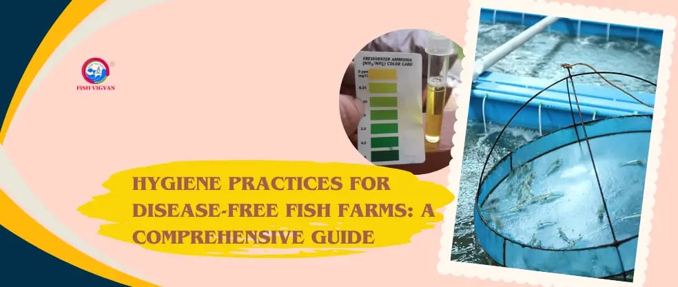 Hygiene Practices for Disease-Free Fish Farms: A Comprehensive Guide ...
