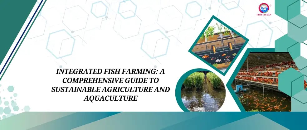 Integrated Fish Farming: A Comprehensive Guide to Sustainable ...
