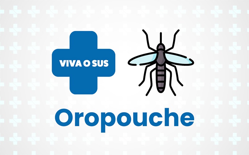 Oropouche: Sintomas, Tratamento e Como o SUS Pode Ajudar | VIVA O SUS!