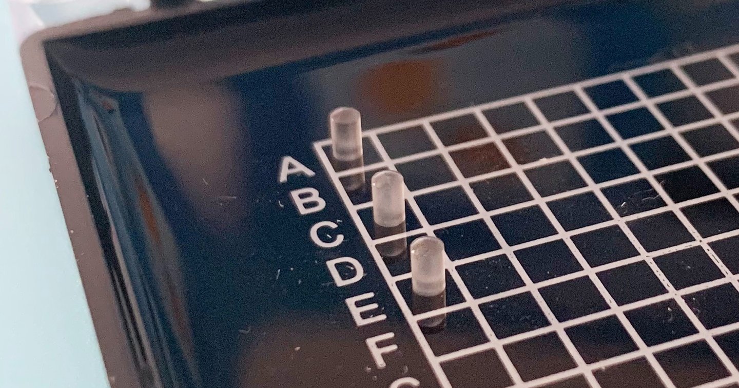 Understanding Micro Drum Convex Lenses: Applications and Specifications ...