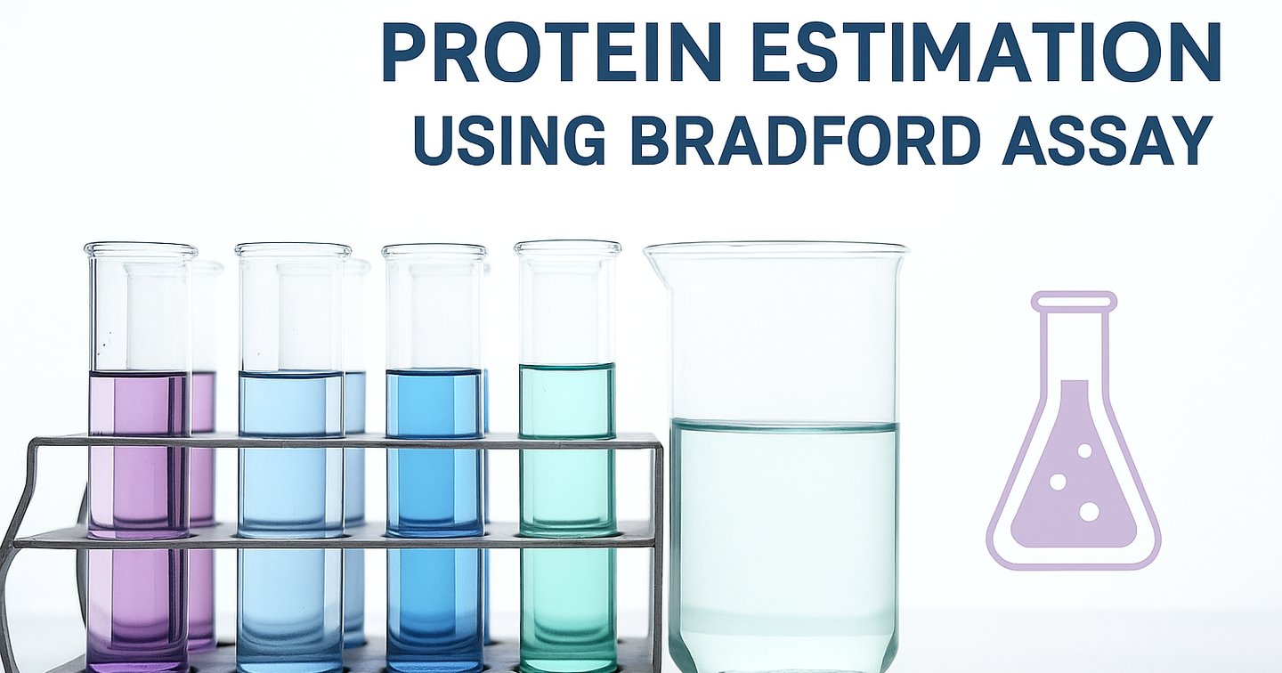 Protein Estimation using Bradford Assay | BioTech Beacons