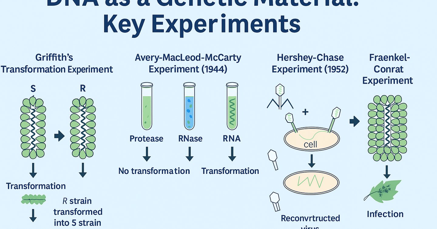 DNA as the Genetic Material: Classical Experiments that Transformed ...
