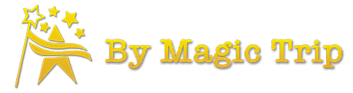 By Magic Trip: viva a magia dos parques temáticos Disney e Universal em ...