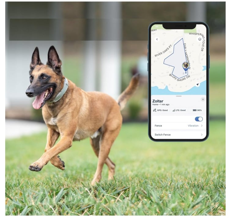 The Ultimate Guide to Satellite-Based Containment Systems for Dogs ...