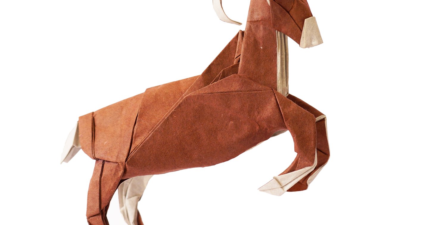 Portfolio | Cekouat León Origami
