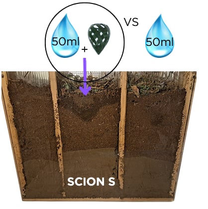Case study: WaterSeed™ – Smart soil biotech for plant care & soil ...